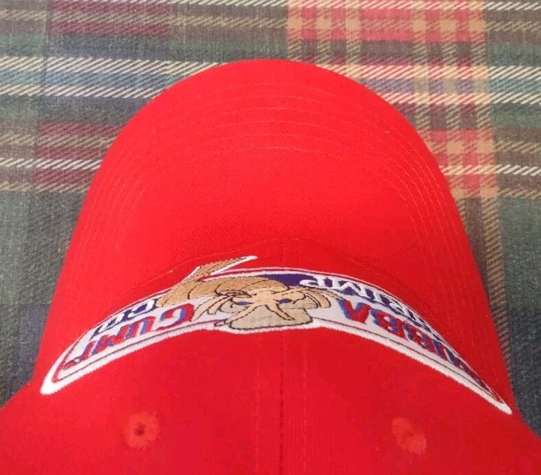 Bubba Gump Shrimp Company Hat Cap Mens Baseball Cap One Size Forrest ...