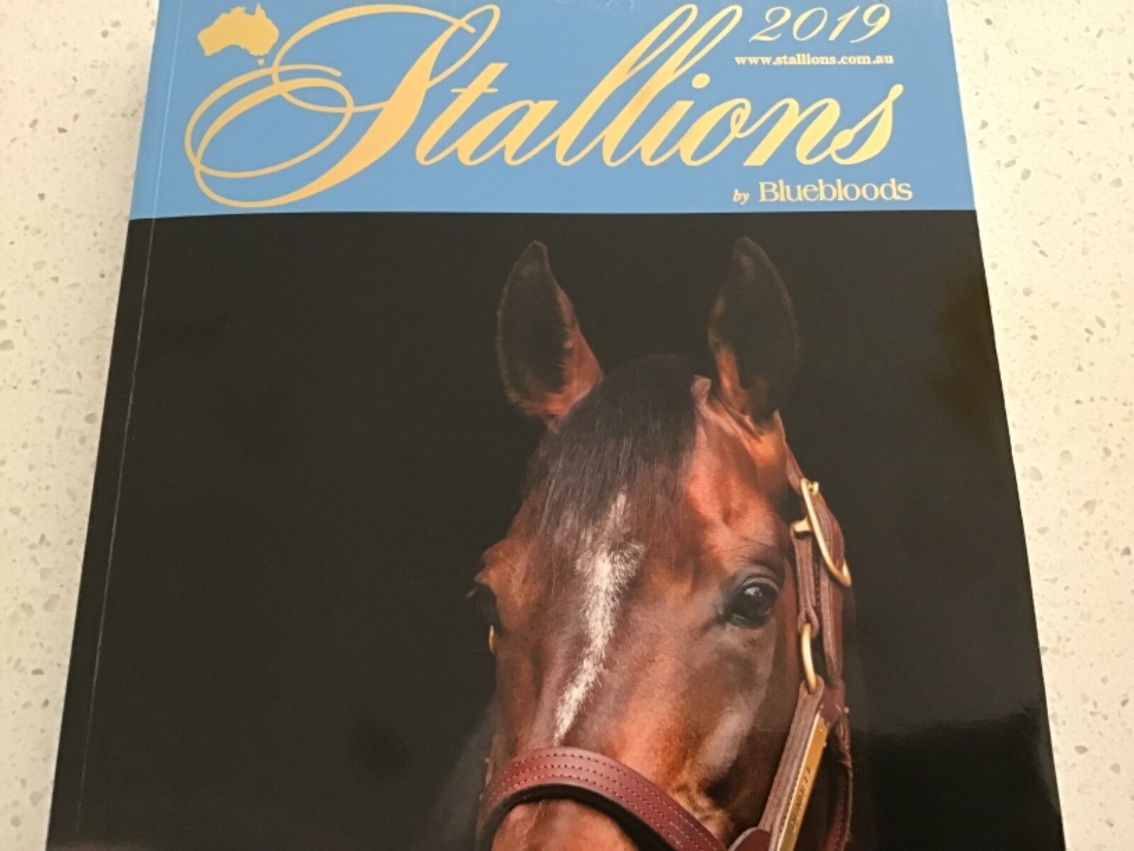 AUSTRALIAN STALLIONS BOOK, COMPLETE, THOROUGHBRED ,DARLEY COOLMORE STUDS, SIRES | eBay Australia