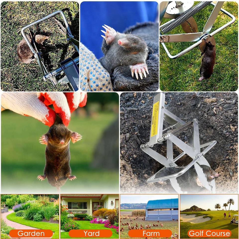 2-4 Pack Mole Traps Scissor Trap Reusable Rat Mole Gopher Trap Killer ...