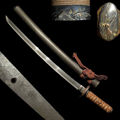 Swords - Edo Period Japanese Antique Samurai Sword