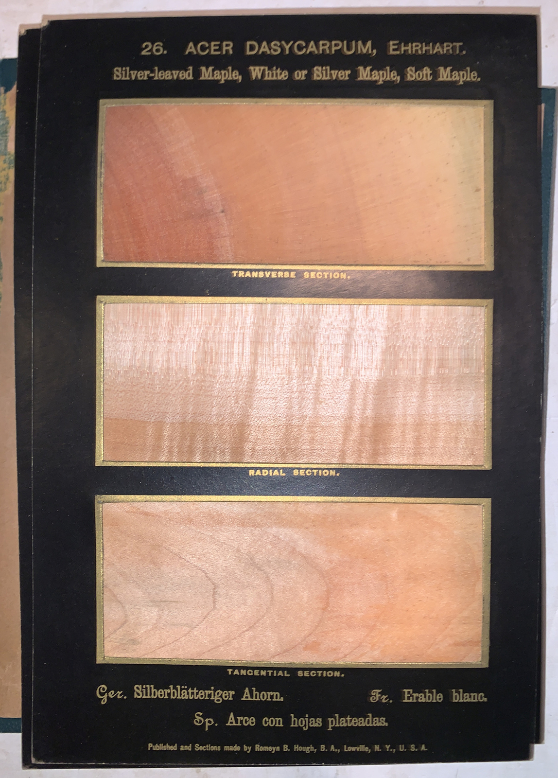 THE AMERICAN WOODS, ROMEYN B HOUGH INSCRIBED, 1888-1928, 1st, 14 VOL W ...