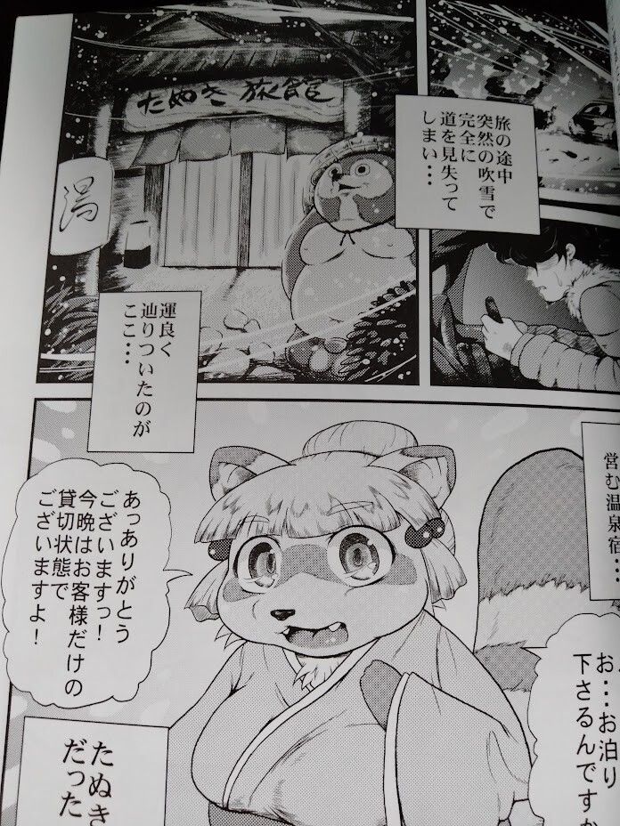 Doujinshi Mayoineko etc. (B5 246pages) Kemokko Lovers vol.3 | eBay