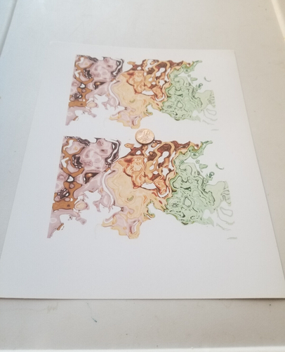 PS5 art print Palocsay, Lester Leland Ashes 2 A dua2 236 M16 FACE OPEN ...