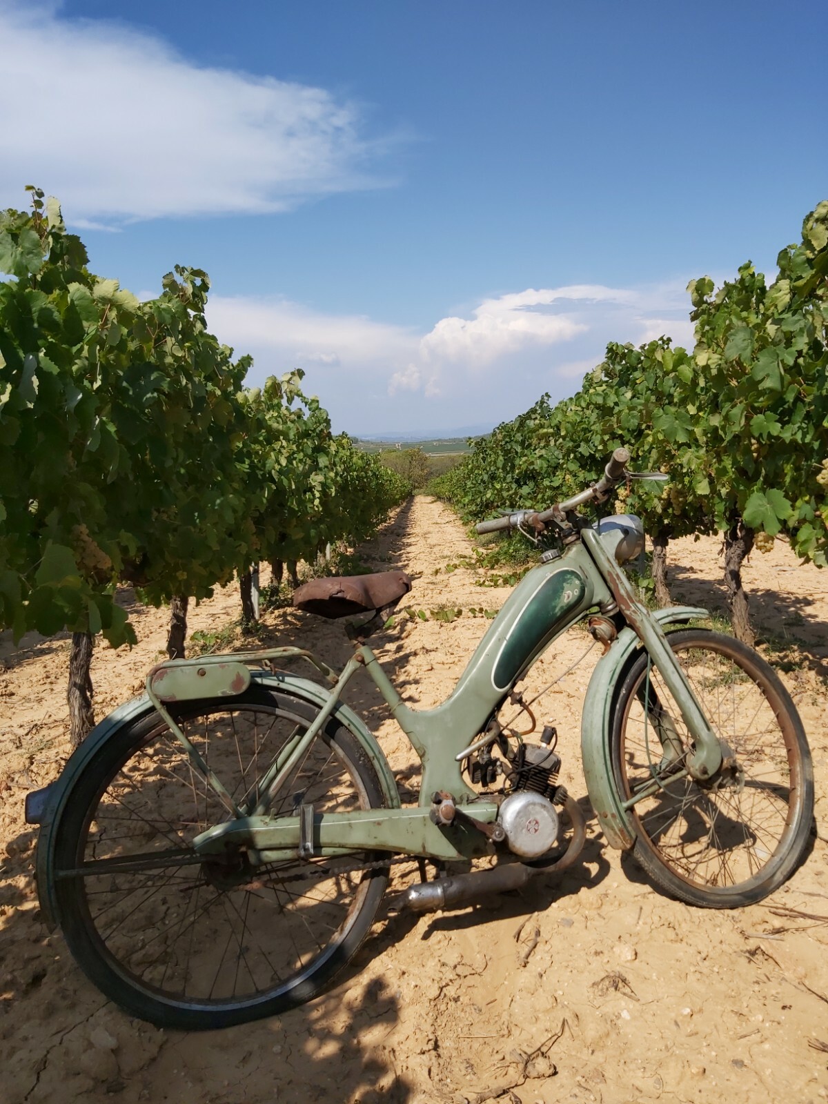 Ossa 50 A 1956 moped 1st model | eBay