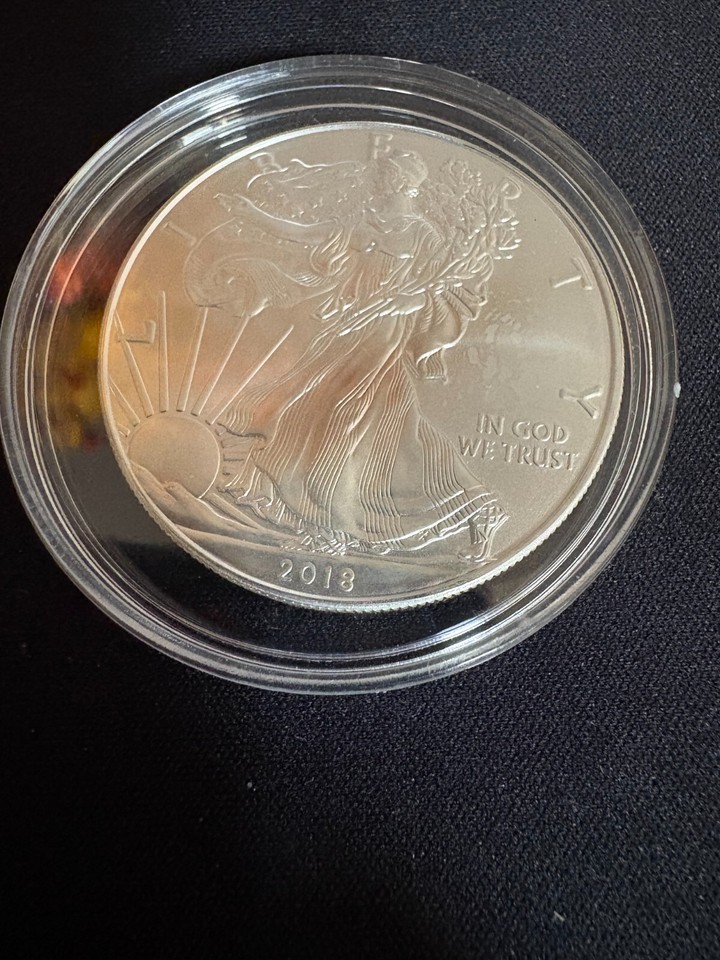 2018 Silver American Eagle BU 1 Coin 1 Oz $1 Dollar Uncirculated Brilliant Mint, | eBay