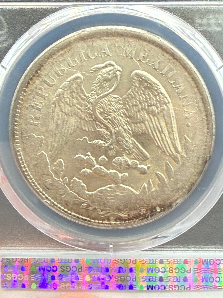 1899 Zs-FZ Mexico Cap & Rays 1 Peso Silver Coin - PCGS MS 62 | eBay