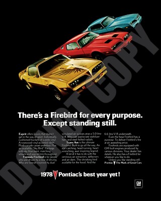 1978 Pontiac Firebird Esprit Trans Am Advertisement Promo Ad 8x10 Photo ...