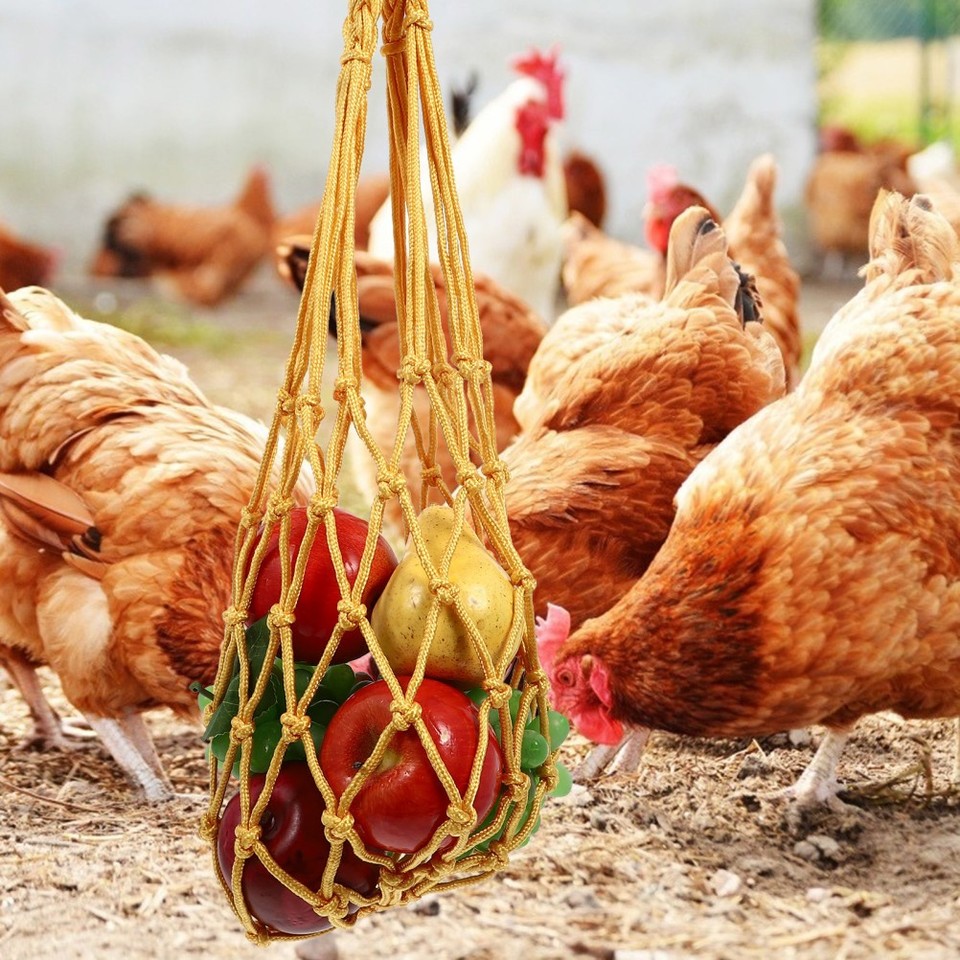 2 Sets Bird Cage Food Holder Parrot Foraging Toy Chicken Feeding Tool ...