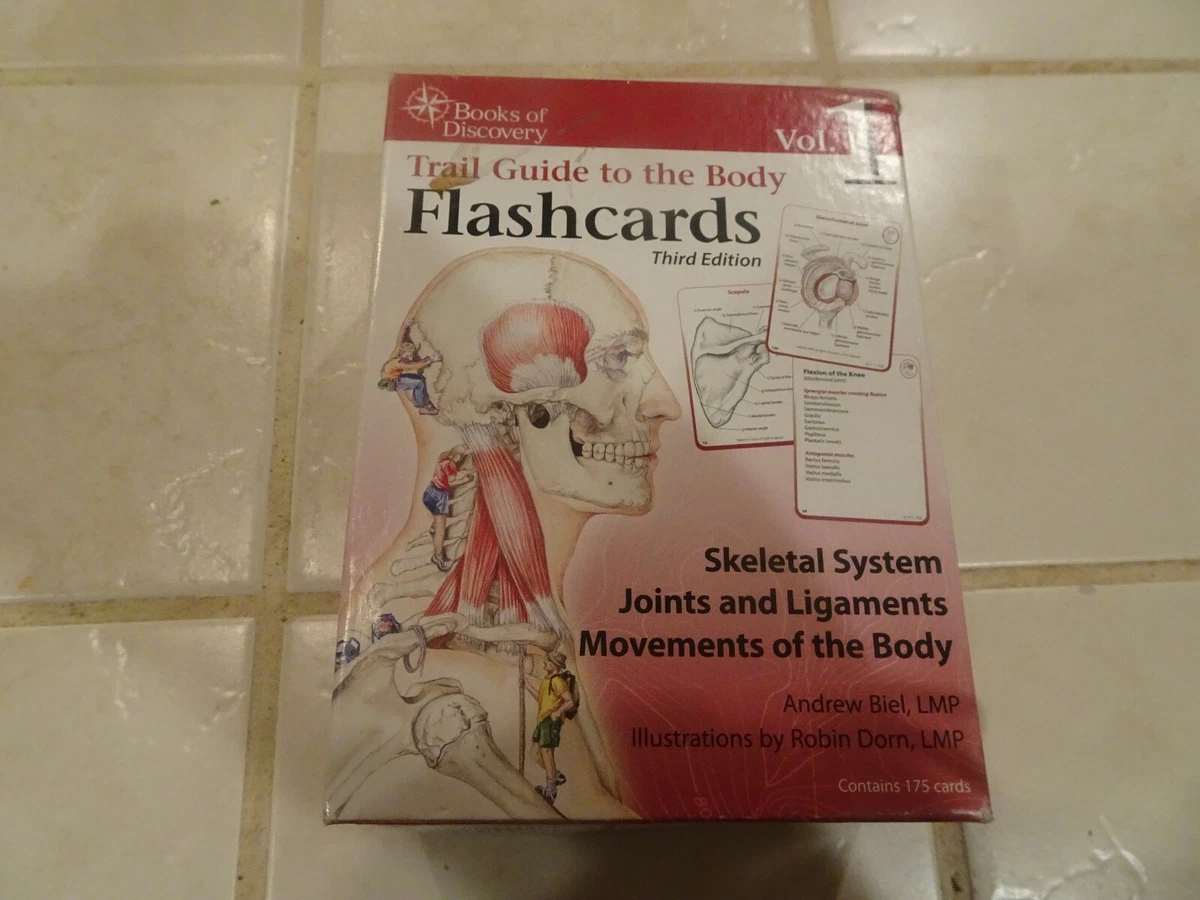 Download Netter's Advanced Head Neck Flash Cards PDF Free, 43% OFF