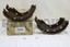 0449552030 Genuine Toyota SHOE KIT, REAR BRAKE 04495-52030 | eBay