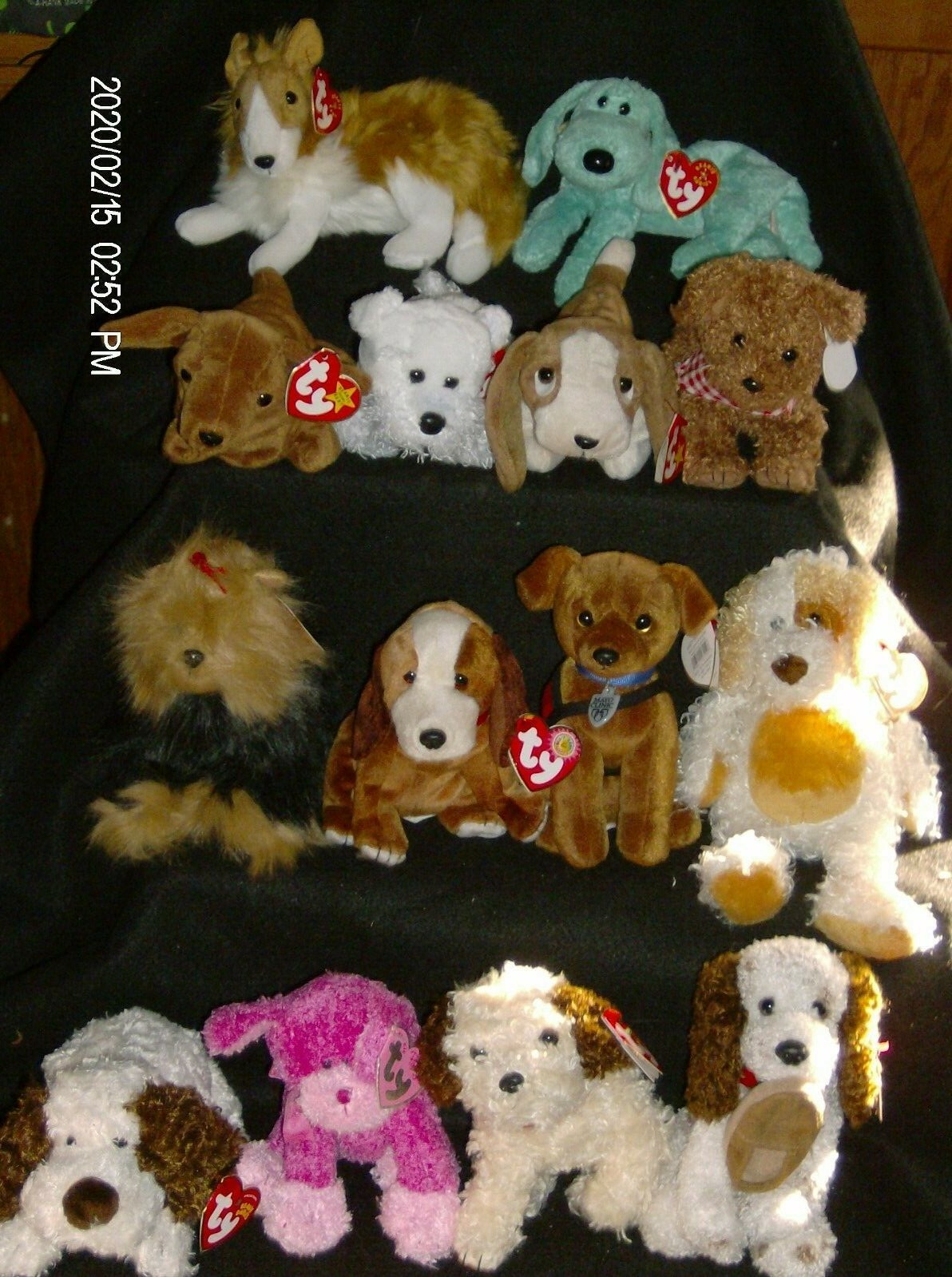 Ty Beanie Babies Dogs Collie Scottie Basset Daschund Yorkie & Some Odd ...