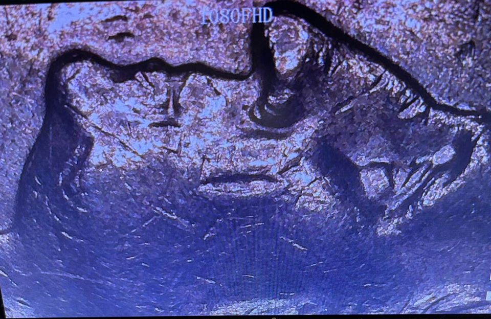 1998 D Washington Off Center/lines misprints to face & large die gashes ...