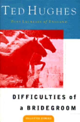 Difficulties of a Bridegroom: Collected Short Stories by Ted Hughes ...