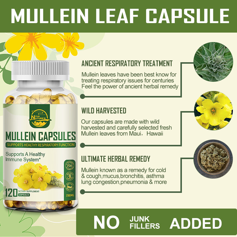 120 Mullein Leaf Capsules Lung Cleansing Detox Herbal Dietary ...
