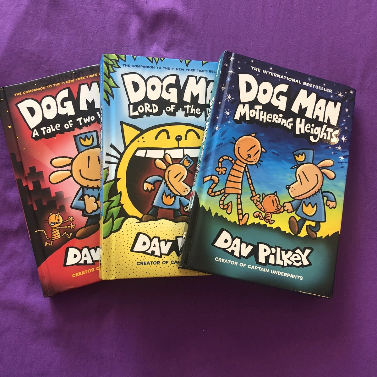 What Is The Third Dog Man Book