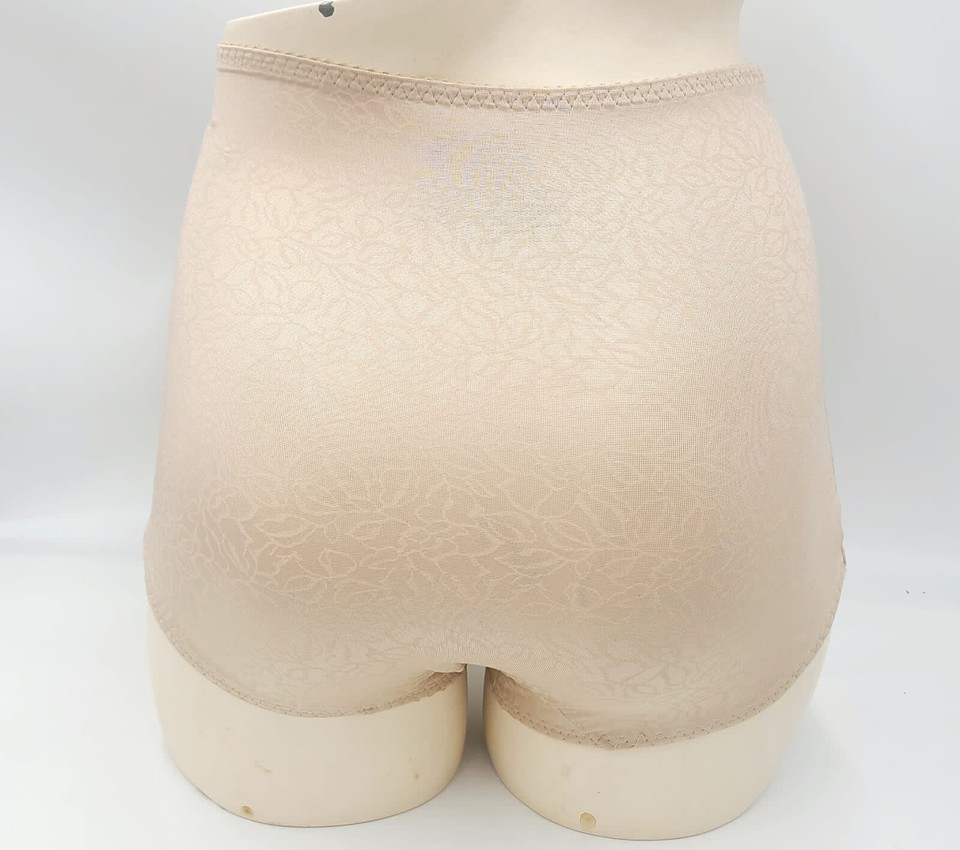 Hanes Shaper Brief 2-Pack Light Control Shapewear Tummy Panel ...