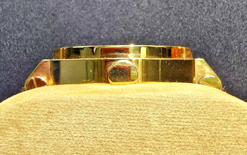 Renato Collezioni Wilde-Beast Swiss Diamond Watch 46mm Limited Pro ...