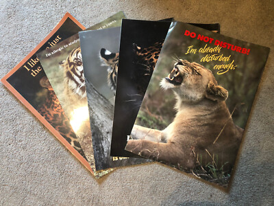 vintage argus posters Lot Of 6 Inspirational Tiger Cats 14x21 Laminated ...