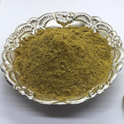 Gurmar Leaf Powder | Gymnema Sylvestre | Blood Sugar Control Weight ...