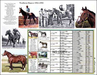 Horse Racing NORTHERN DANCER picture pedigree RonTurcotte 11 by 8.5 ...