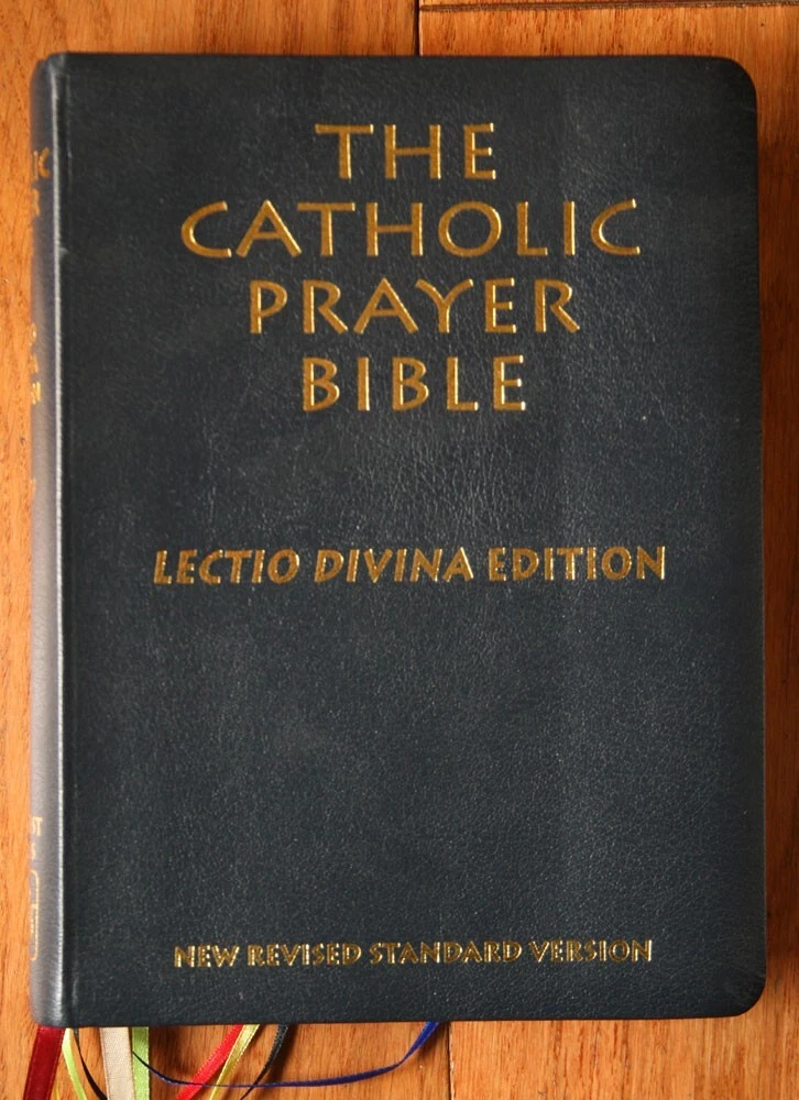 Lectio Divina New Zealand Catholic Register Hotsell | www ...