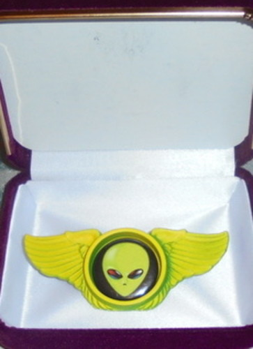 UFO ALIEN Grey EBE 51 Battle Space Officer Pilot Wing Badge Medal Pin ...