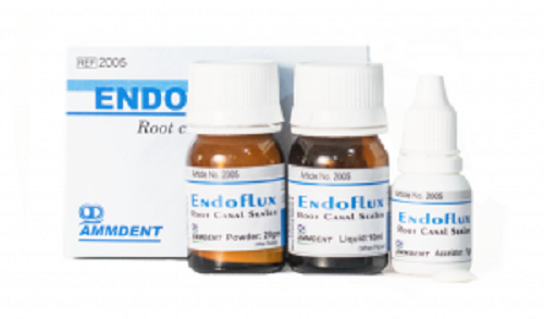 2 X Ammdent Endo Flux Powder & Liquid Accelerator Type Free Shipp | eBay