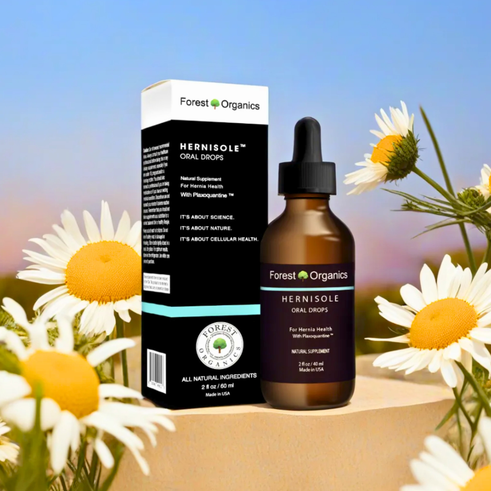 Salud hernia hiatal,ayuda con hernia umbilical, hernia discal, hernia ...