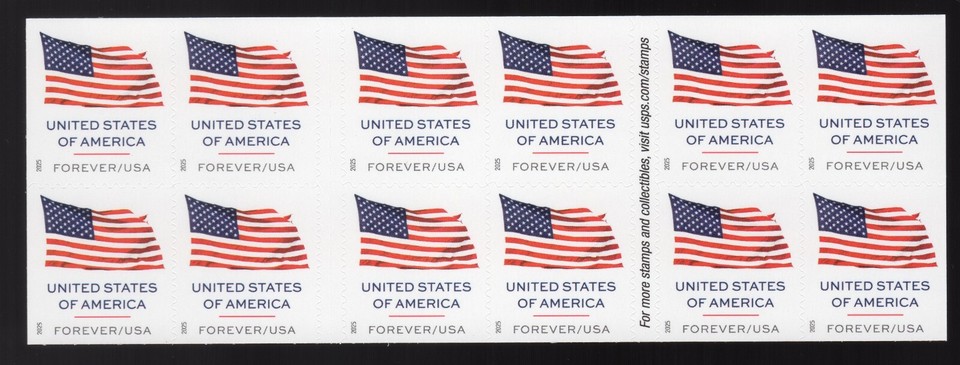 Scott #6021 Flag Booklet (BCA) of 20 Forever Stamps - MNH P#B1111 | eBay
