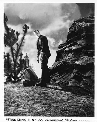 CLASSIC FRANKENSTEIN MONSTER CLASSIC PORTRAIT GLOSSY 8X10 PHOTO | eBay