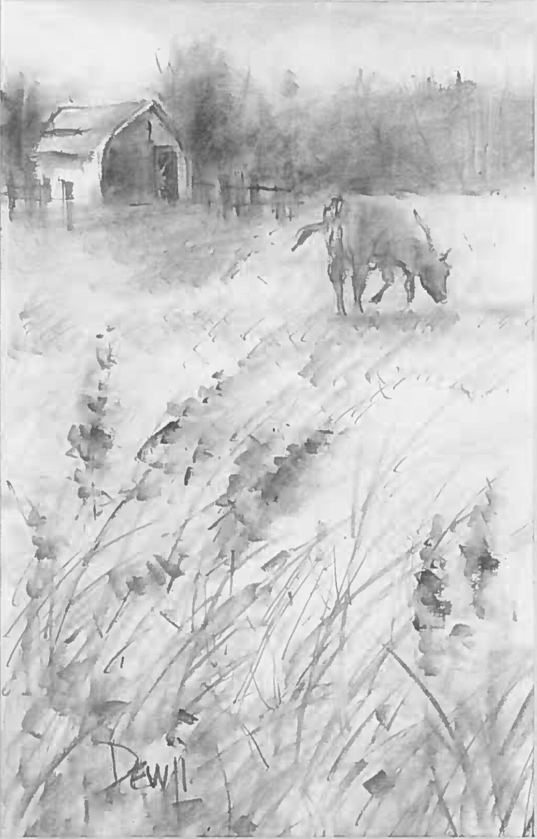 Farm Drawing
