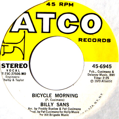 Billy Sans Bicycle Morning #B Pop Rock 45 7" Vinyl -Check Listing for ...
