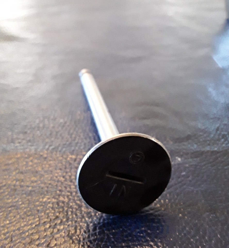 Robin Wisconsin 206-33401-03 Intake Valve EY206-33401-03 | eBay