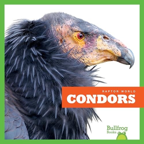 Condors (Bullfrog Books, Raptor World) 9781641286367| eBay