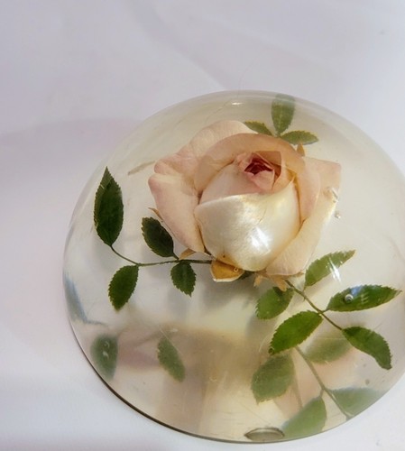 Vintage W. Rolfe Floral Rose with Leaves Domed Paperweight Clear Resin ...