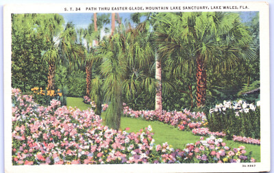 Postcard FL Path Thru Easter Glade Mountain lake Sanctuary Lake Wales ...