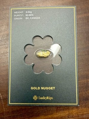 🔥🔥 Rare Lucky Rips 2.02 Grams Gold Nugget B.C. CANADA high purity 🔥🔥 | eBay