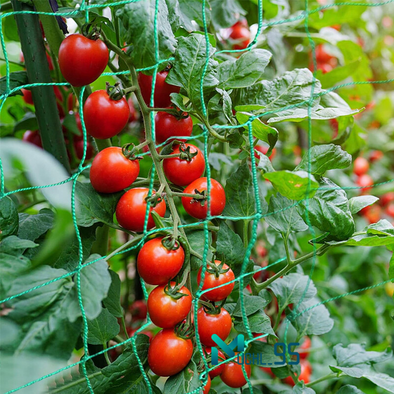 Garden Plant Climbing Net Trellis Netting Mesh Support Fruits Vine ...