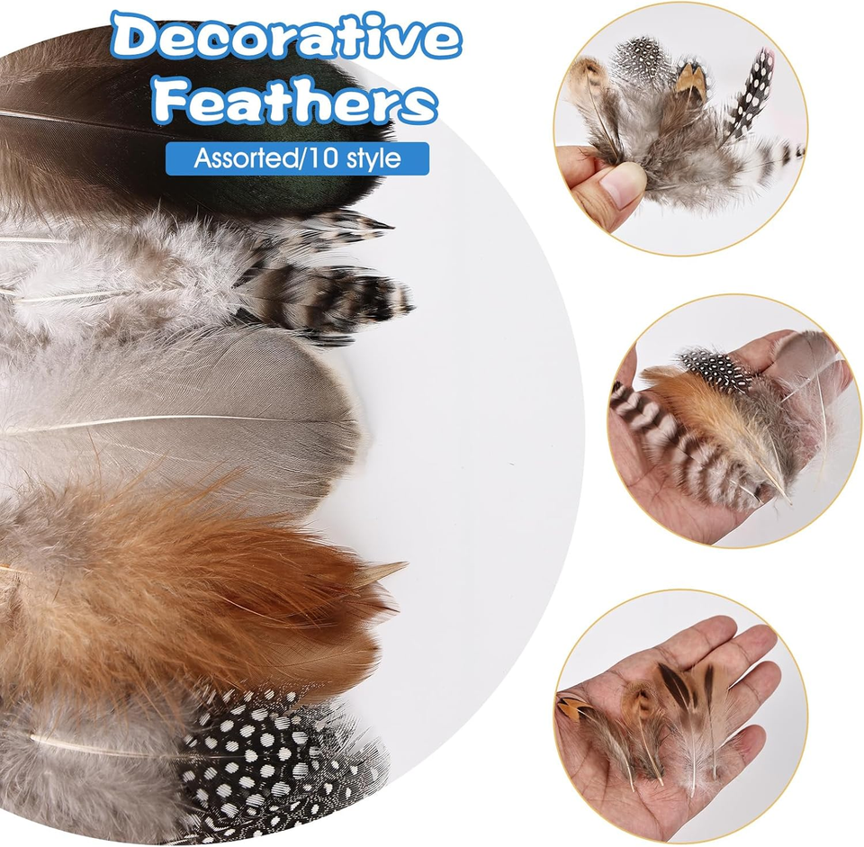 300 Pcs Small Feathers - 10 Style Mixed Spotted Decorative Natual ...
