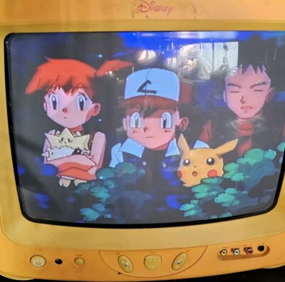 Disney Winnie The Pooh CRT 13 Inch TV Missing speakers and DVD Player ...