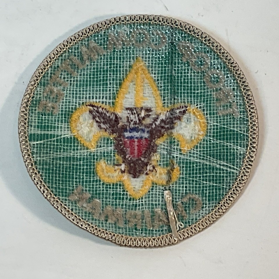 BSA Troop Committee Chairman Green Position Patch Boy Scouts Of America ...