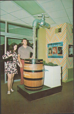 Gatlinburg TN. Mystery Faucet Ripley's Museum UNP Chrome Postcard | eBay