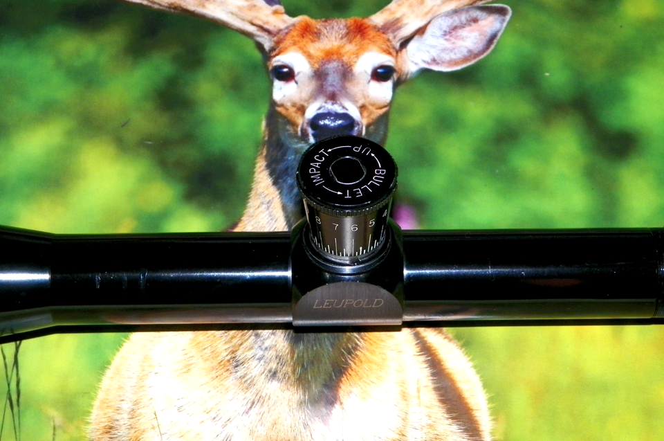 Leupold 24X AOTarget Gloss-Very Fine Mil Dot | eBay