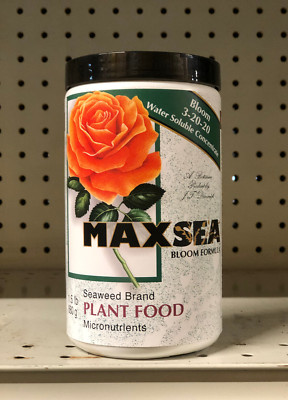 Maxsea BLOOM 3-20-20 Plant Food - Water Soluble Seaweed Nutrients ...