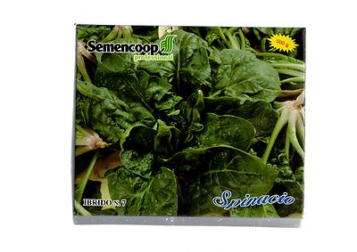 Épinards Hybride N.7 Professionel Pack 0,500kg . Semi Bolloso Feuille ...