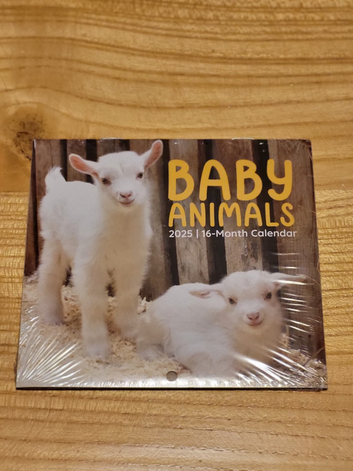 ONE - MINI WALL Monthly 2025 Calendar - BABY ANIMALs - SMALL 16-Month ...