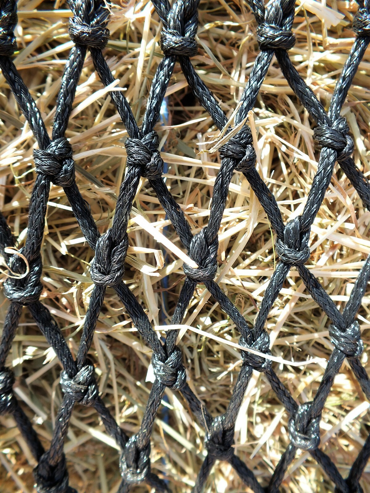 MARTSNETS SLOW FEEDER 25MM MESH - trickle feed small hole | eBay UK