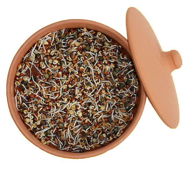 hawos Toni terracotta Clay Sprouter for Grain and Seeds | eBay