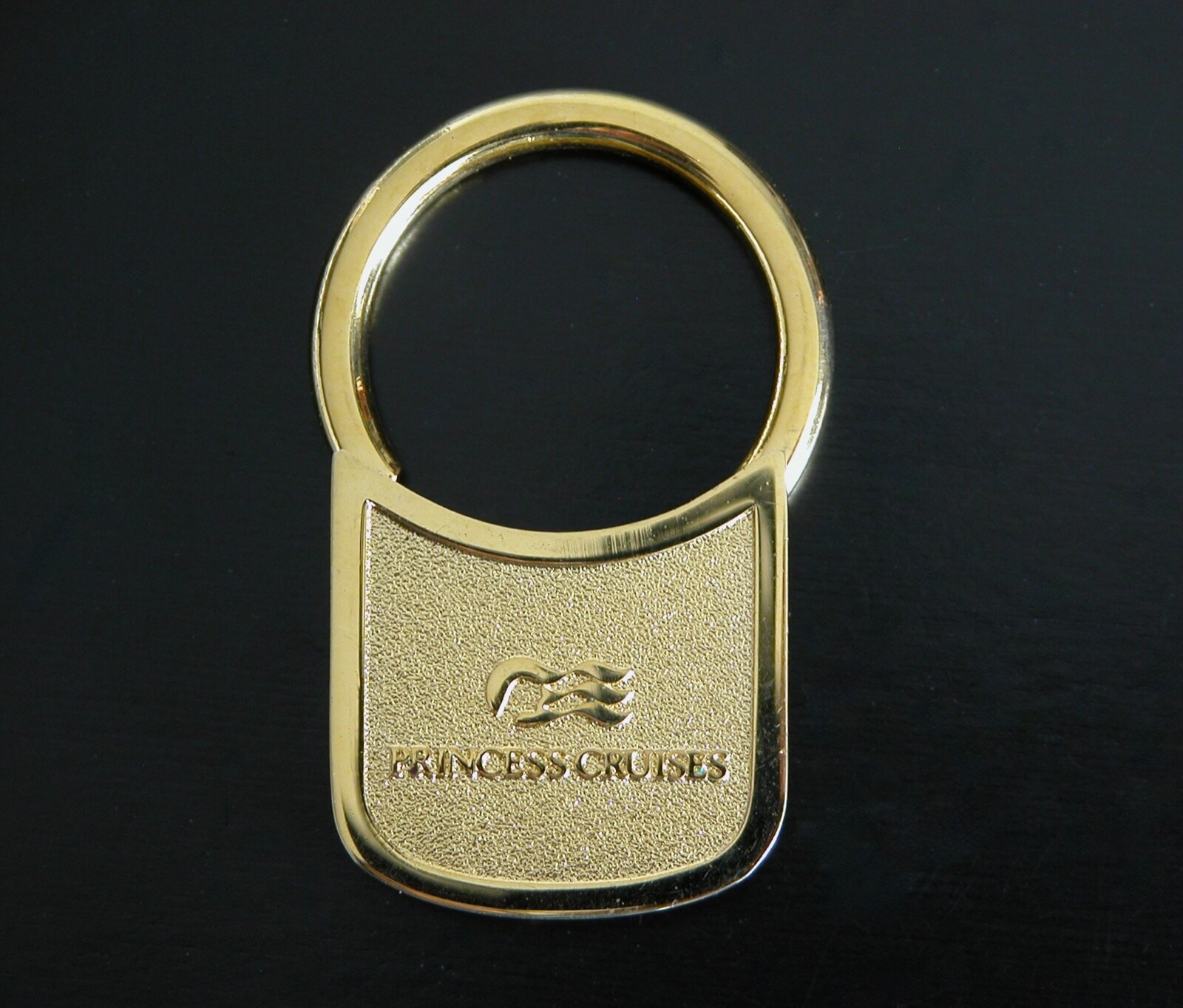 PRINCESS CRUISES CRUISE SHIP Logo Keychain Key Chain … - Gem