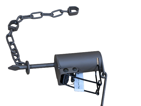 12 New Duke Dog Proof Coon Traps Powder Coated DP Foothold Traps 0510 ...